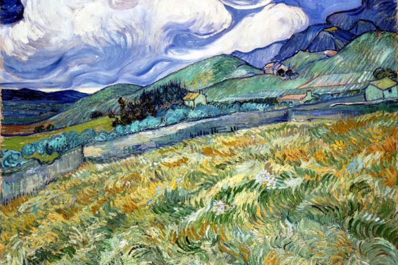 Van Gogh Lands Tour with driver | Gentle Provence